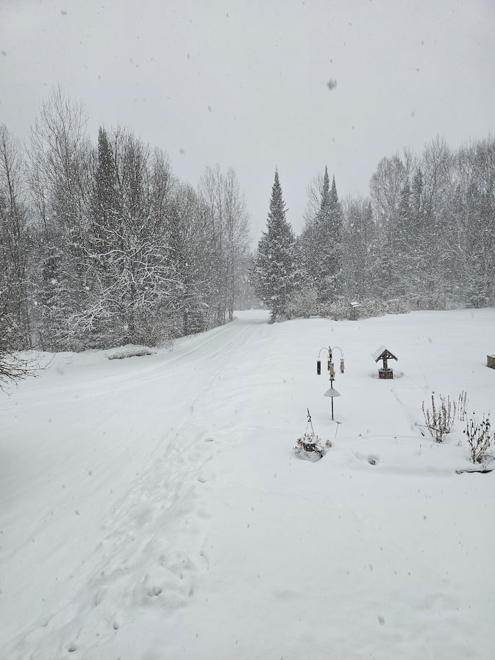 The House - Ontario 60