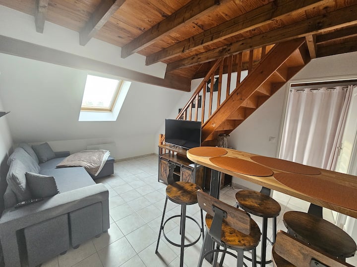 Appartement Pratique Et Moderne -Paris-cdg-astérix - Goussainville