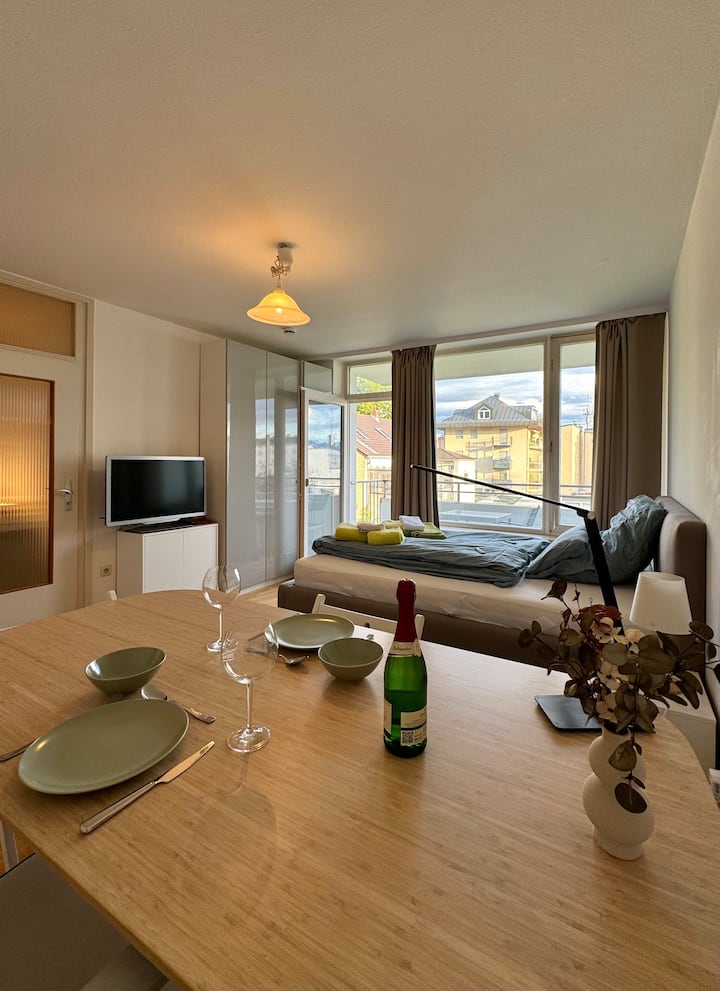 Zentrale & Ruhige Wohnung - Rosenheim
