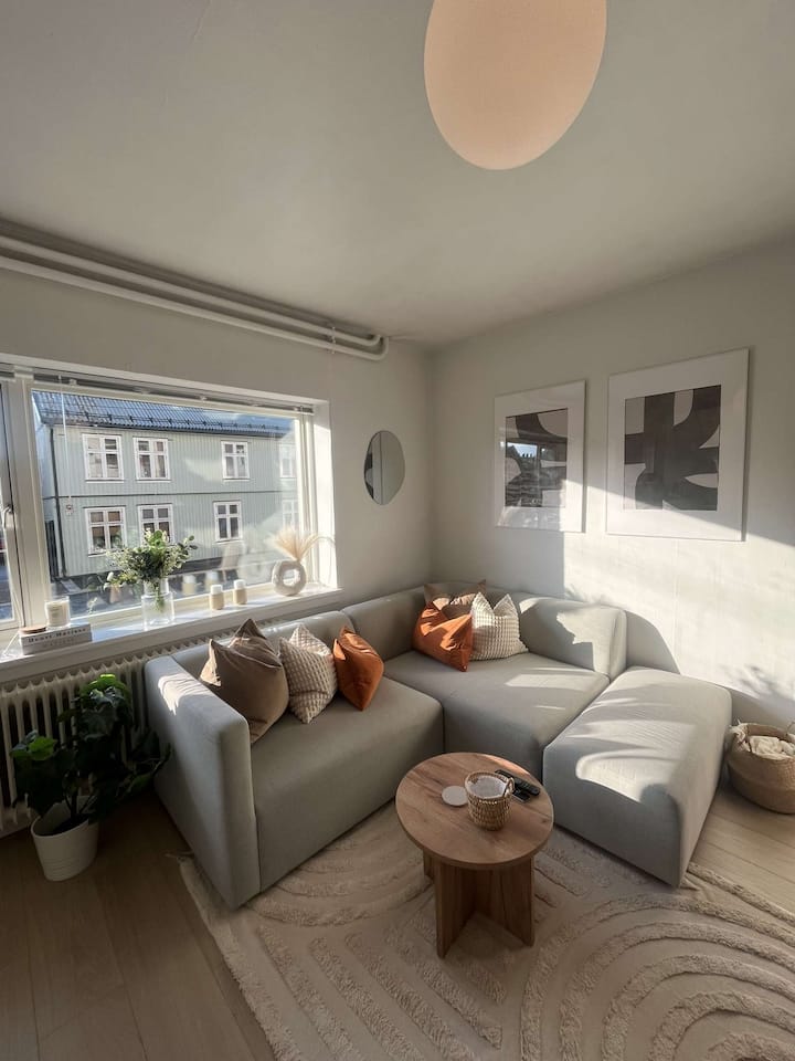 Leilighet I Gamle Oslo - Oslo