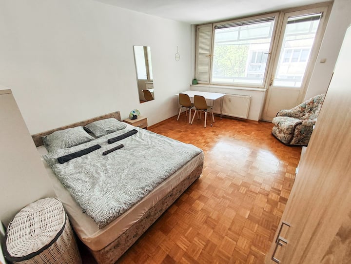 Quiet Apartment Near City Center - Liubliana
