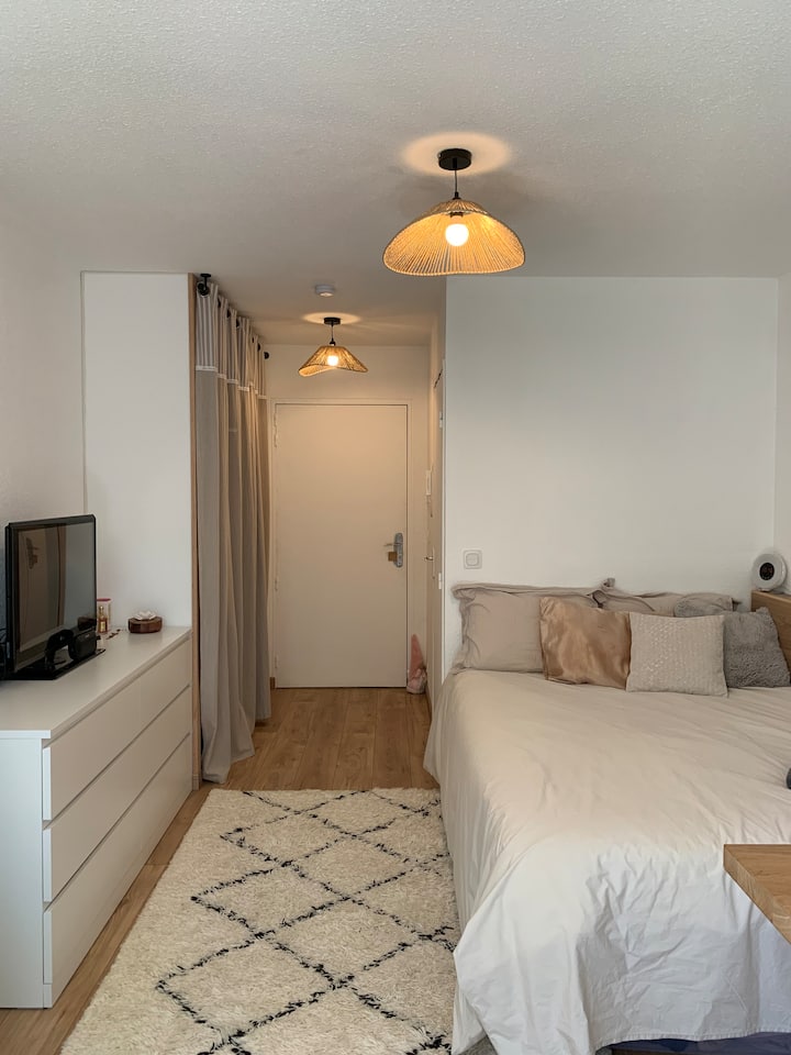 Studio Avec Balcon, Piscine, Place Parking. - Valbonne