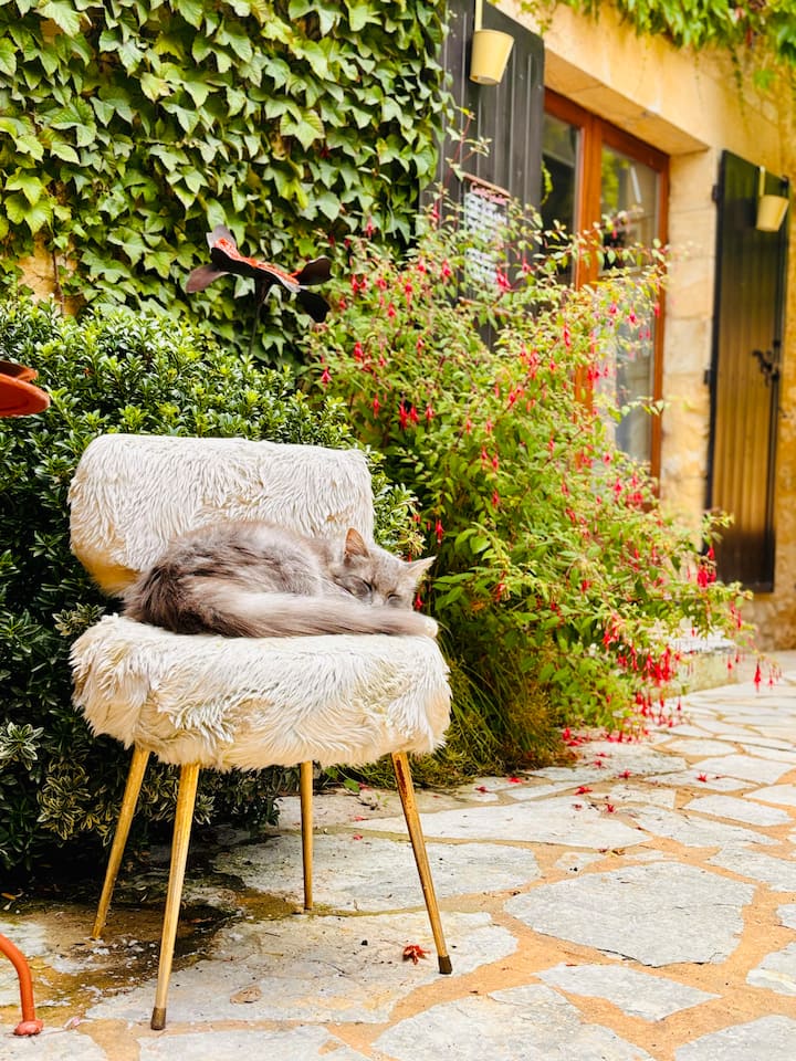 Auberge Restaurant Dôma - Chambre Bleu - Périgord