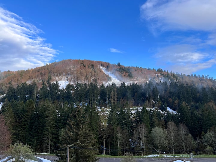 Le Balcon / La Bresse - La Bresse