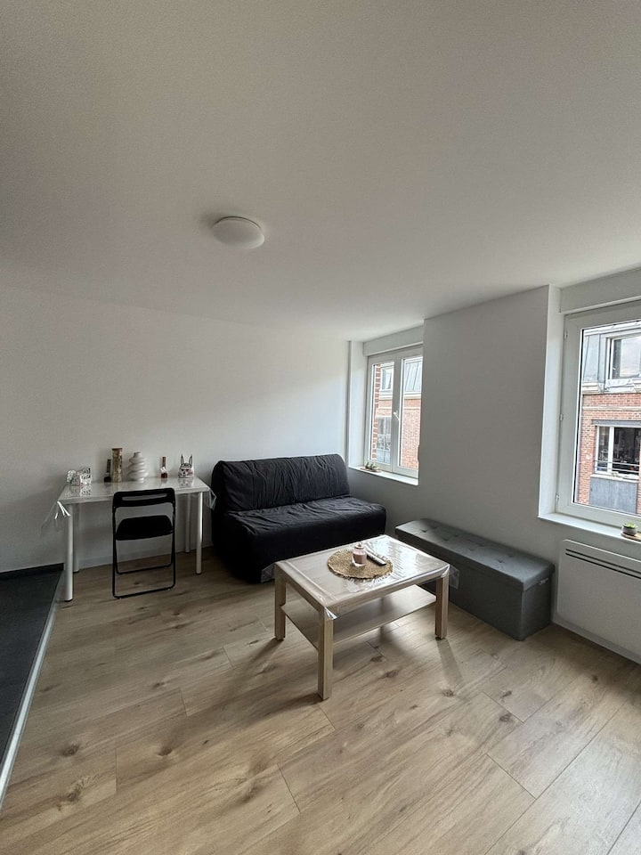 Studio Lumineux Avec Salle De Bain - Lila