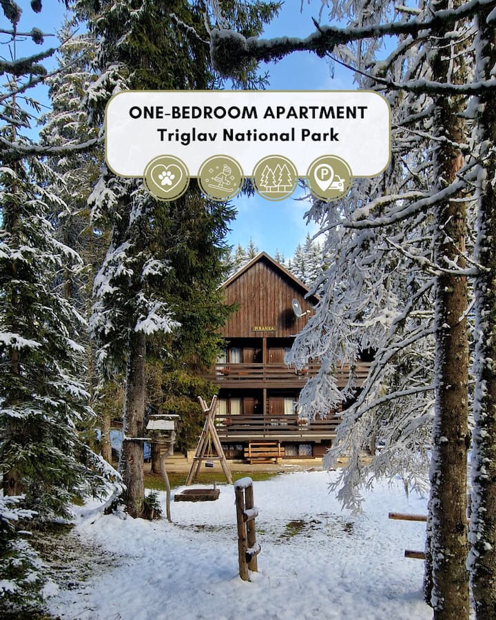 Forest Apartments Pokljuka - One-bedroom & Balcony - Bohinj