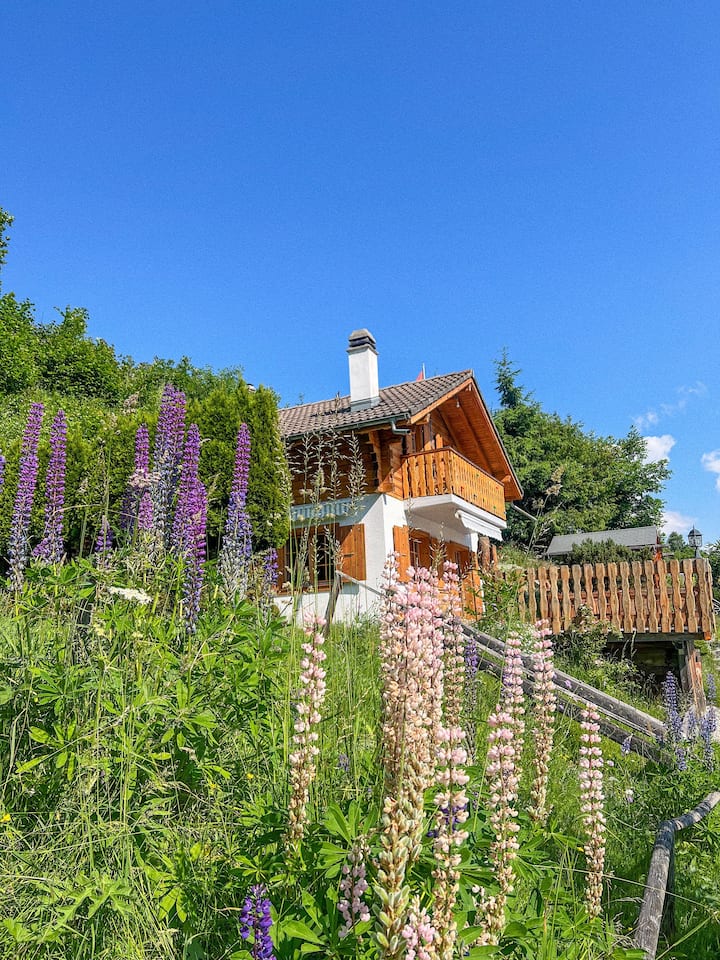 Cosy Chalet With Panoramic Views - Switzerland