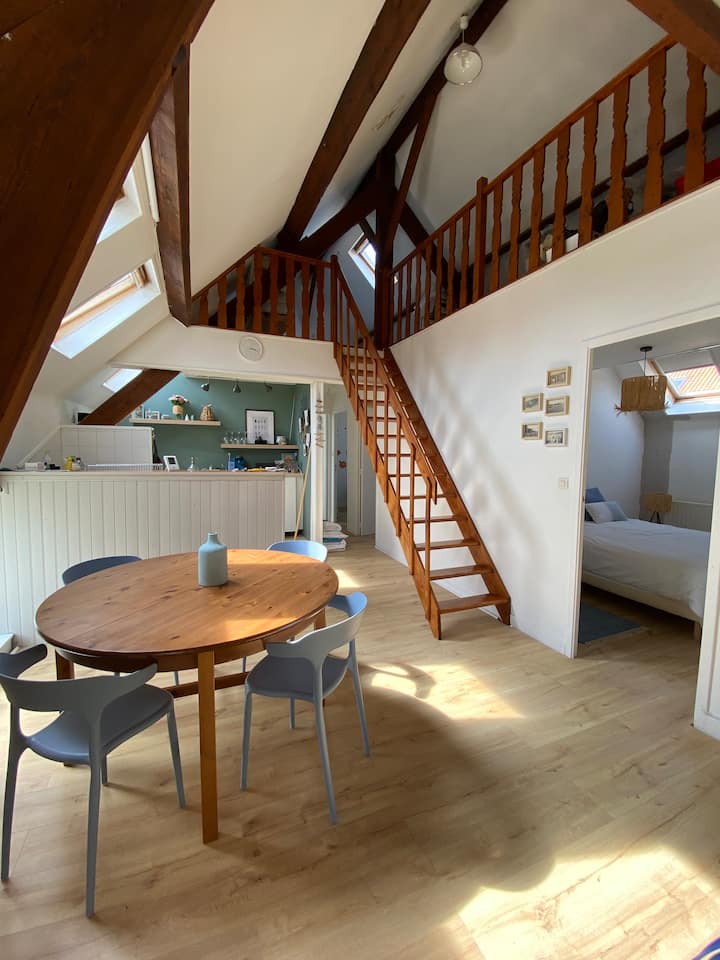 Appartement Berck Ville Proche Mairie 80m2 - Berck