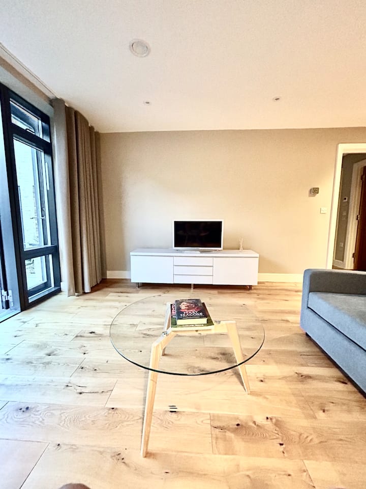 Cozy Modern Relaxed Apartment Central Cambridge - Cambridge