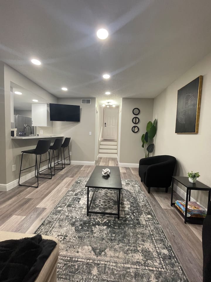 Modern Townhse By Busch Gardens-raymond Stad-usf - Tampa, FL