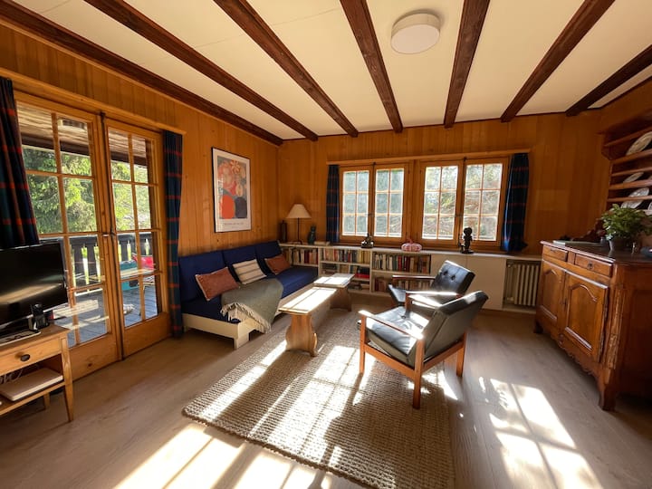 Beautiful Spacious Chalet Above Montreux/lake View - Montreux