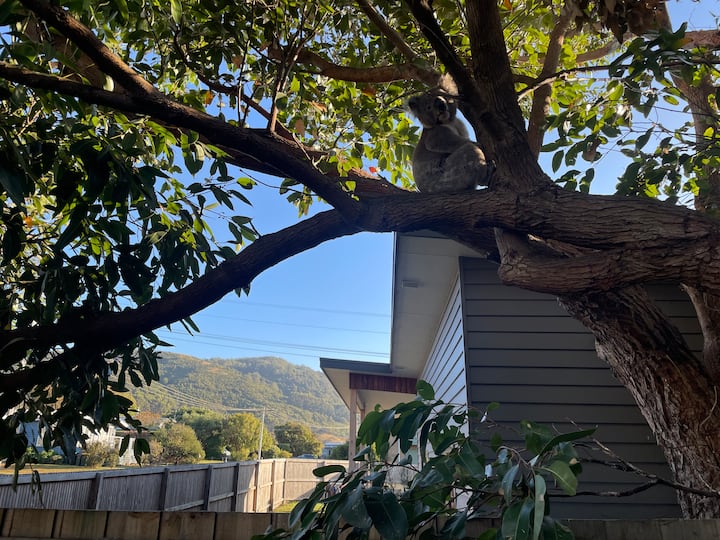 Harwood House - Apollo Bay