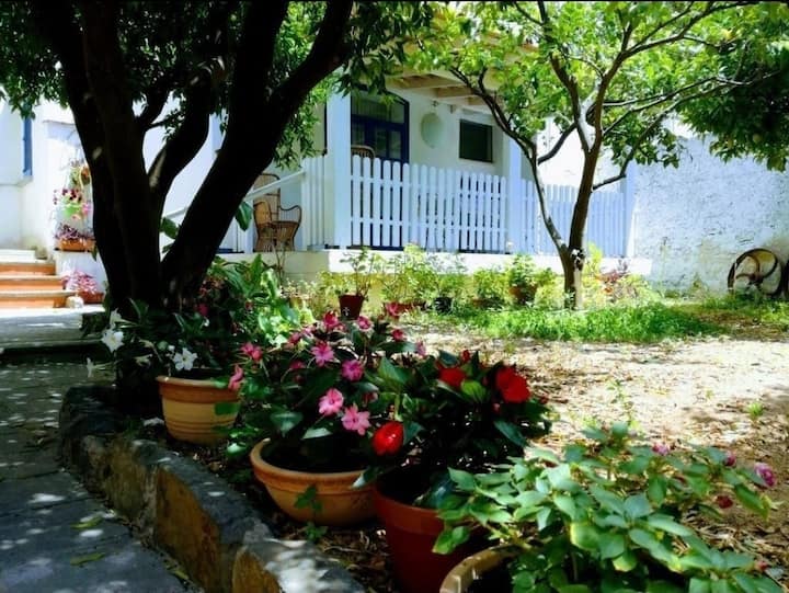 Monolocale Centro Di Palinuro - Palinuro