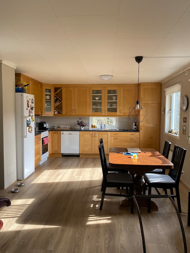 Enebolig PÃ¥ Landet - Norway