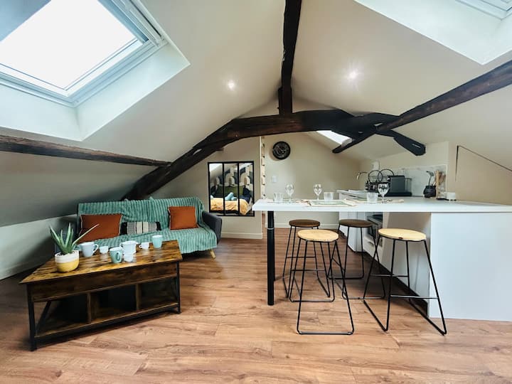 Casa Terra - Beau T2 - Calme Et Centre Ville - Angers