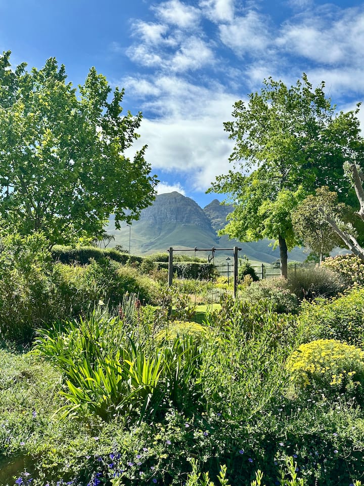 Helderberg Nature Reserve Mountain View’s - Somerset West
