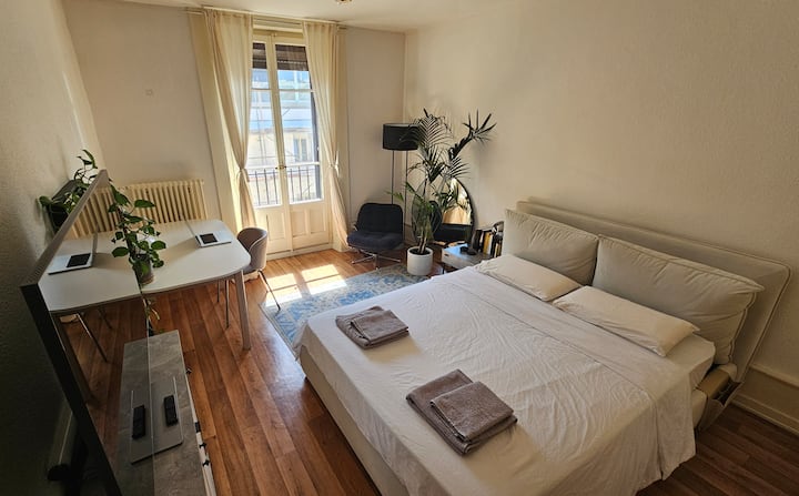 Cozy Apartment In Paquis - ジュネーヴ