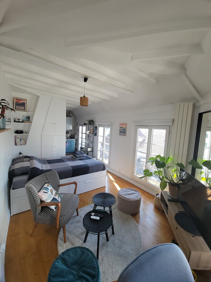 Appartement Paris - Marais - Paris