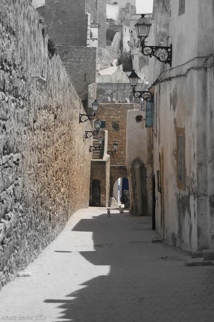 Hello! A Guided Tour In Safi,if You Wanna Have Fun - Safi