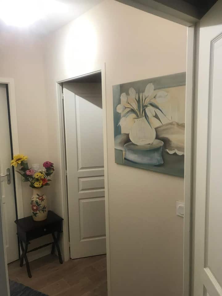 Chambre D'hôtes - Divonne-les-Bains