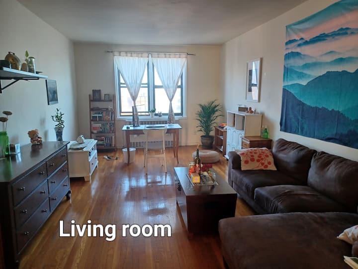 Big One Bedroom Apt In Queens - Queens, NY