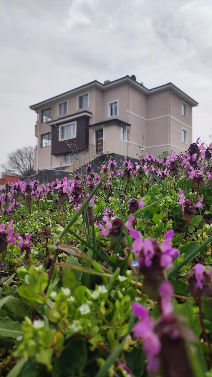 Akkayalar Aerie House - Bolu