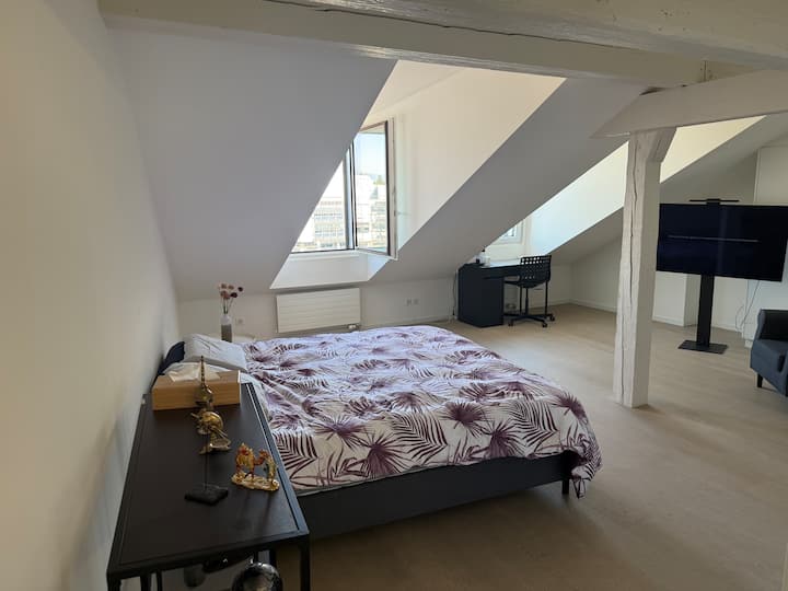 Chambre Confortable à Coté De La Gare Cornavin - Geneva