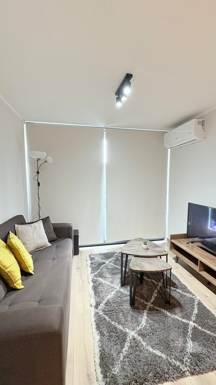 Santiago Auténtico Tú Espacio Acogedor - Providencia