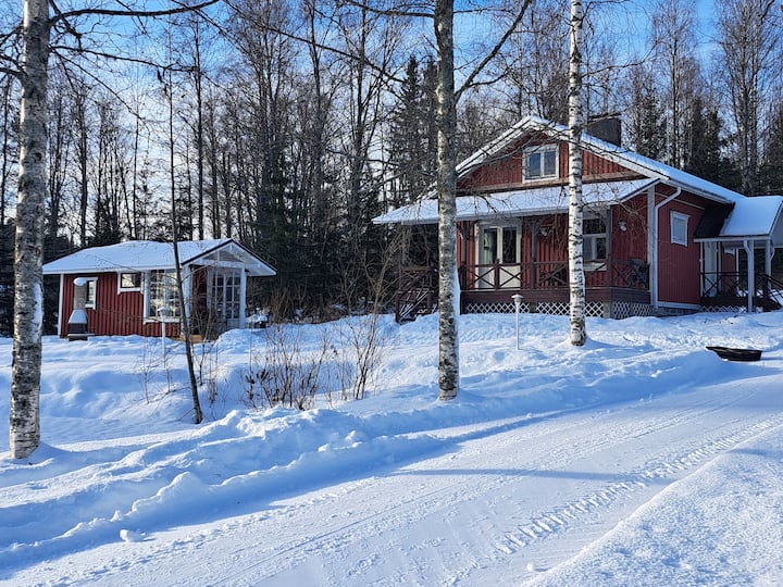 Atmospheric Log Cabin - Kiuruvesi