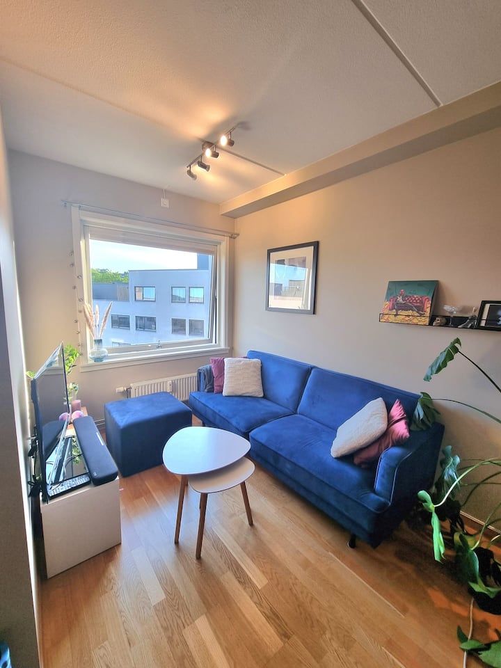 Sjarmerende, Sentral Leilighet - Oslo