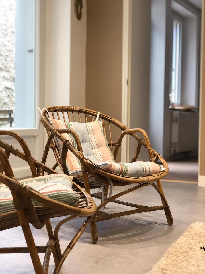 Au 23 Des Anciennes Granges - Proche Château - ibis Styles Blois Centre Gare