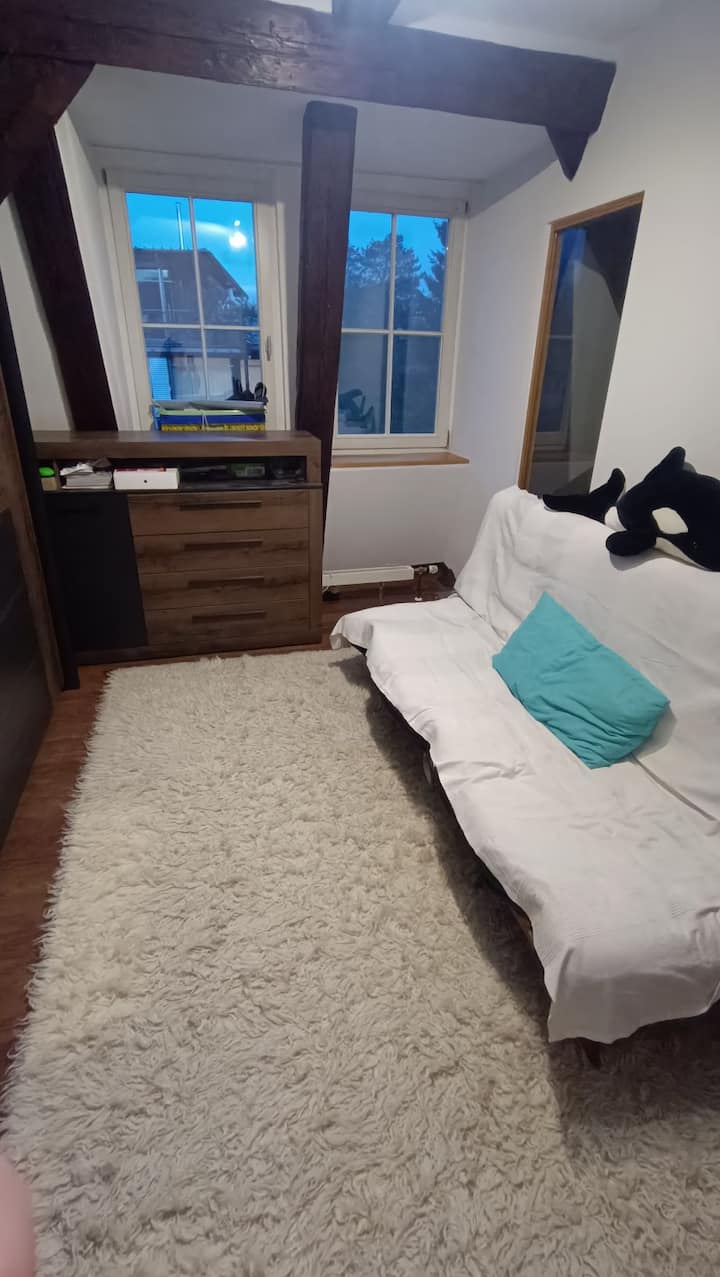 Luxus Zimmer - Ulm