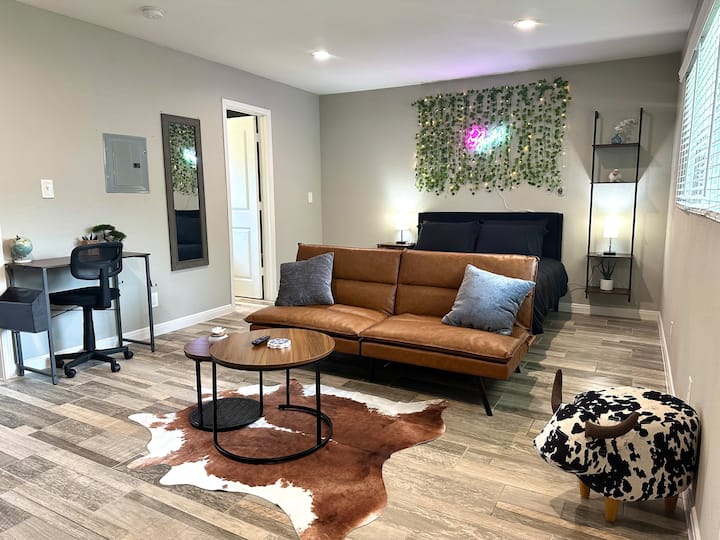 The Wild West, Downtown Studio! - Houston, TX
