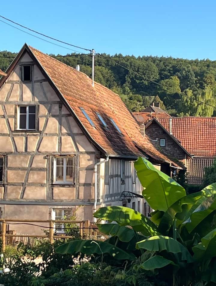 Le Gîte Aux Charmes D'antan - La Petite-Pierre