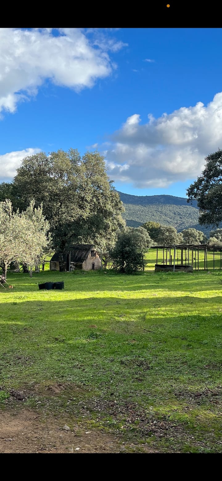 Cabaña En Espectacular Finca     Vut-av-oo773 - Piedralaves