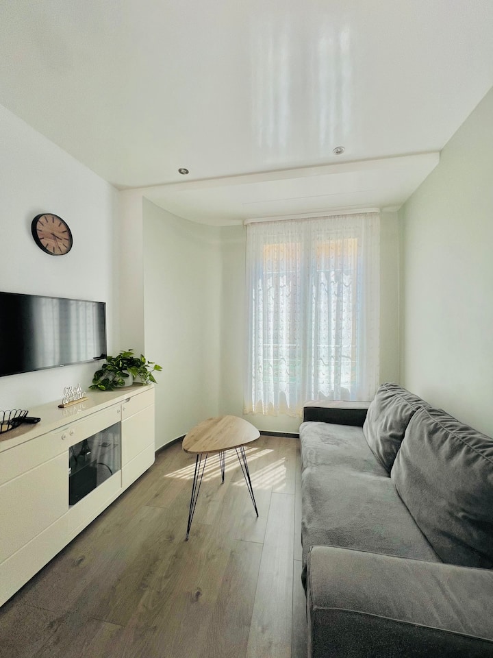 Beau Appartement De Type 3p - Nizza