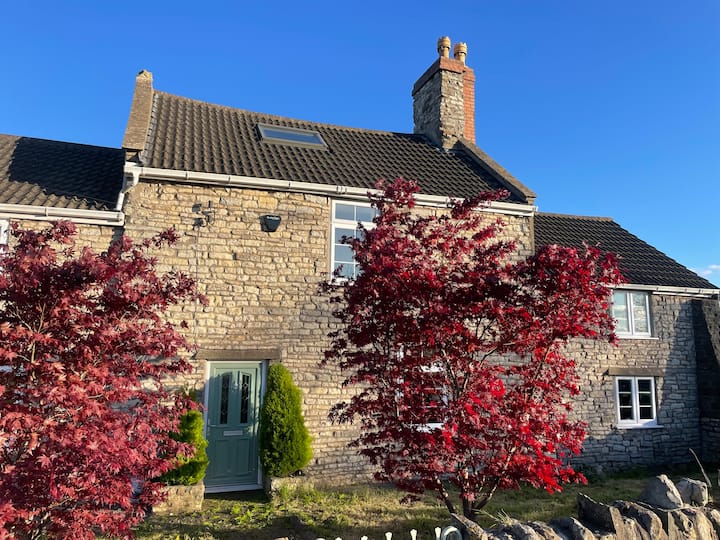 Period Cottage In Bristol - Bristol