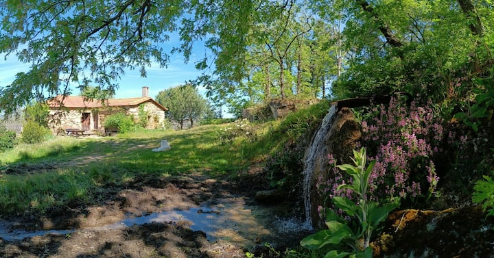 Forest House
@Quintafelizardas - Tarouca