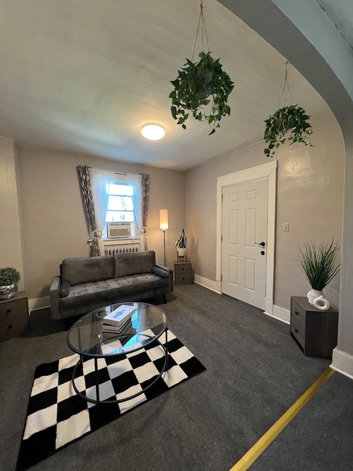 Renovated Gem In Central Buffalo Near Downtown - Buffalo, NY