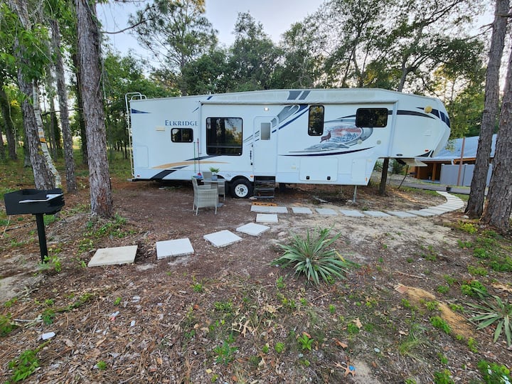 Vida Silvestre. - Spring Hill, FL