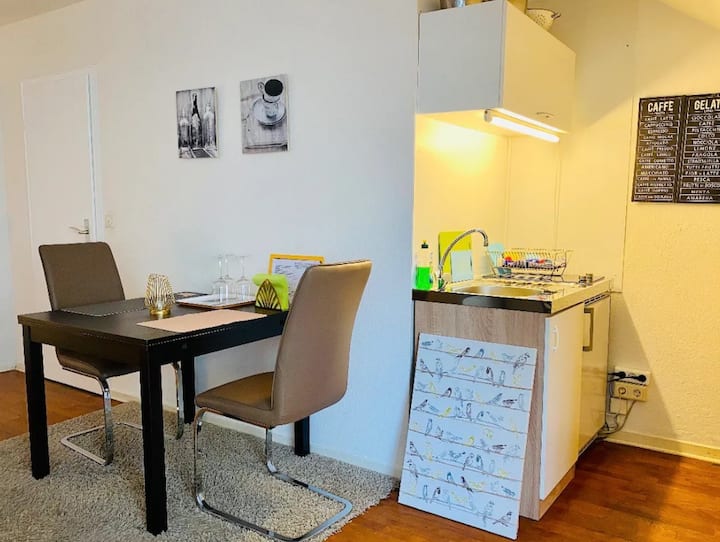 Citylight Appartment In Rheinnähe - Bonn