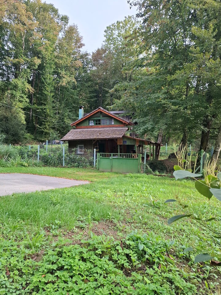 Kuća Za Odmor "Zelena Koliba" - Jesenice