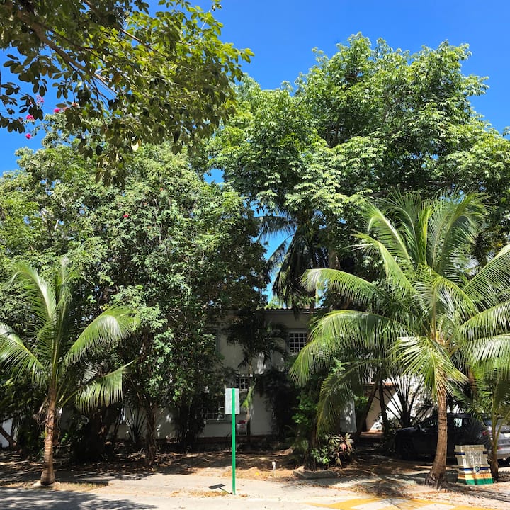 Jungle Hideaway In Playacar W/ Private Pool - Playa del Carmen