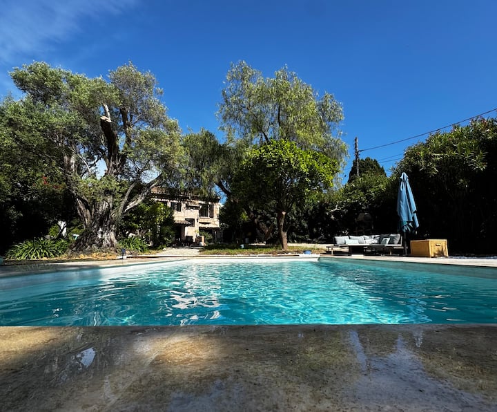 Beautiful Garden & Pool Four Bedroom Villa Antibes - Antibes