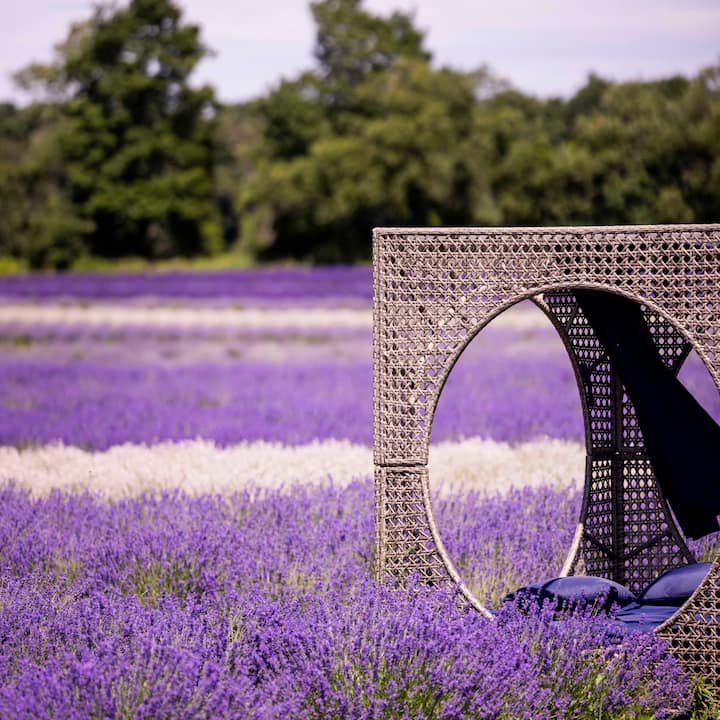 Dome On Peaceful Lavender Farm - Shelburne