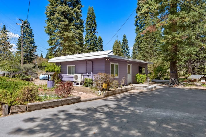 Serene Mystic Mountain Retreat, 5 Min. To Town! - Mount Shasta, CA