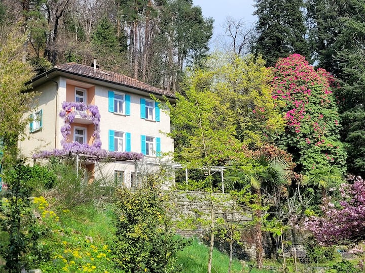 La Pineta - Ein Kraftort. - Ascona