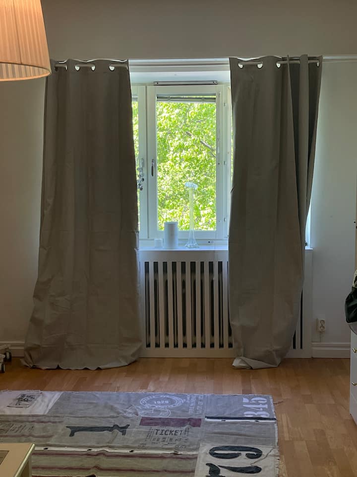 Lägenhet Nära Friends - Solna