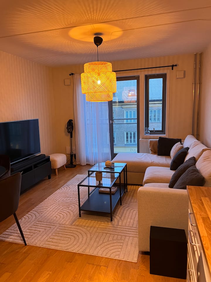 Cosy Apartment At The Top Of Grunerløkka - Oslo