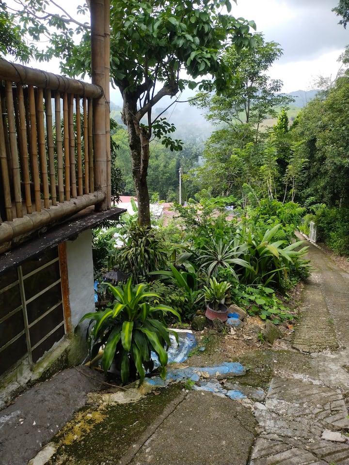 Hospedaje Campo Hermoso Bambú#2 - Villeta